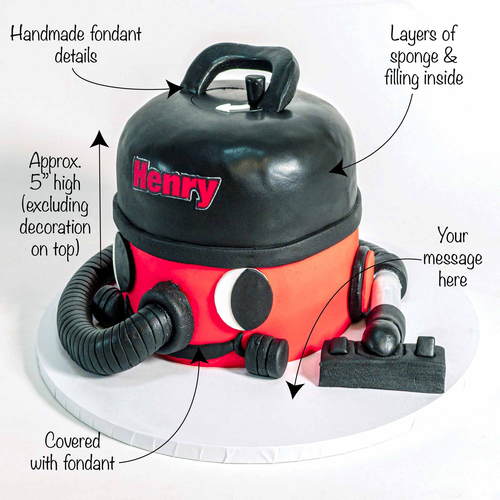 Henry Hoover Cake Delivery in Sussex | Harry Batten
