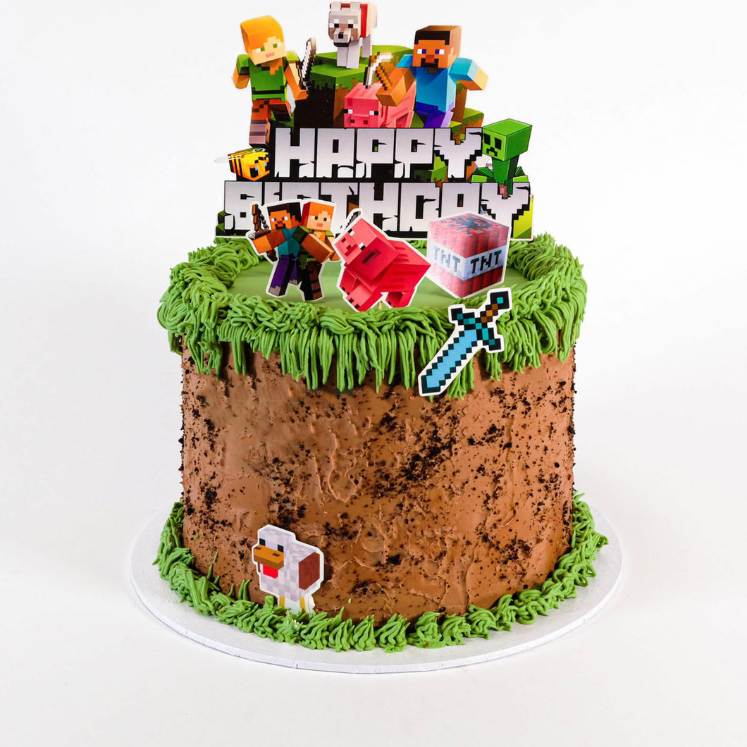 Minecraft Cake Delivery in Sussex | Harry Batten